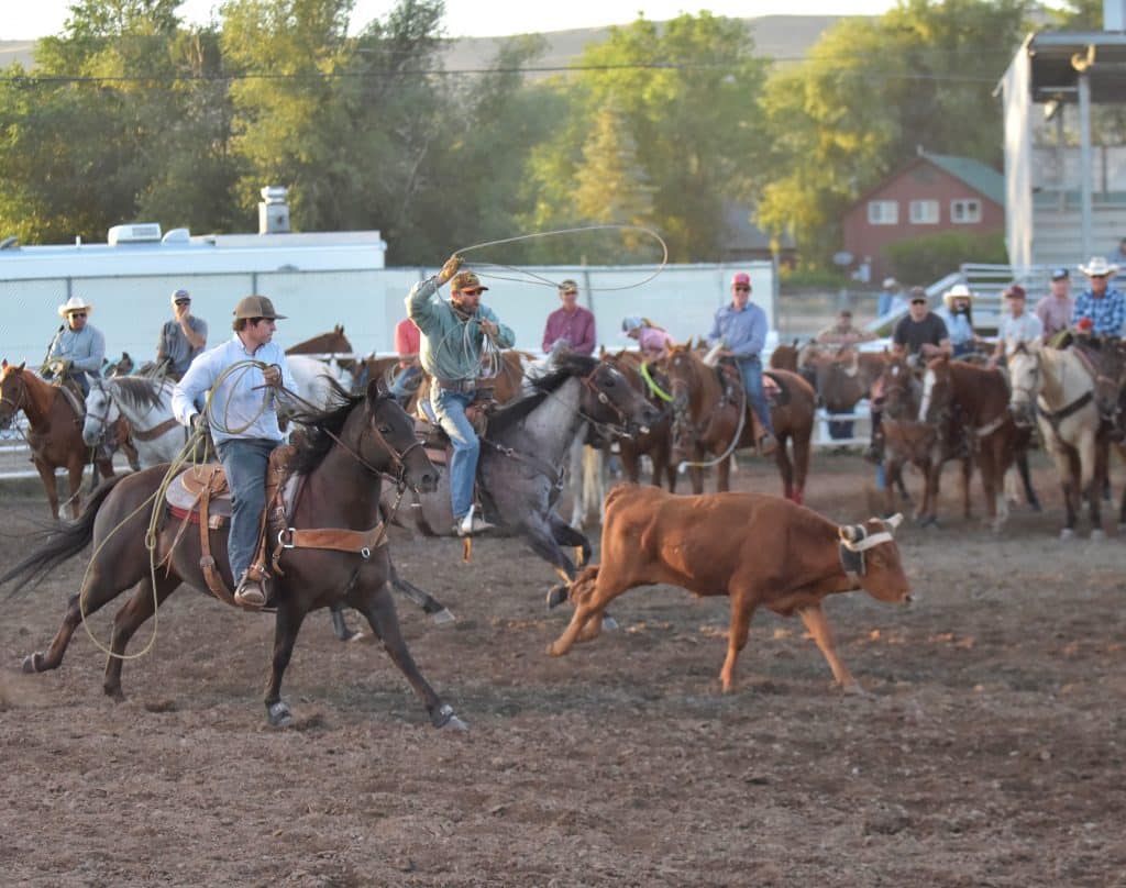 Routt County Fair team roping draws high number of competitors ...